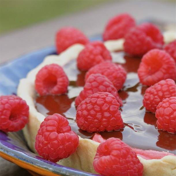 Raspberry Truffle Tart | EASYBAKED