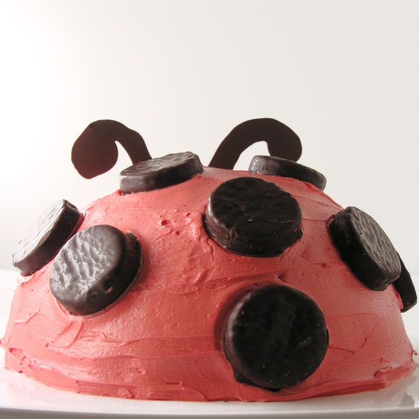 Ladybug Cake! | EASYBAKED